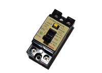 China Miniature Earth Leakage Circuit Breaker of TRL - 40 Series, Household Earth Leakage Protection Switch with Overload Protection for sale