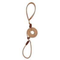 China Anti-Pull Dog Leash with Padded Nylon and Leather Handle for sale