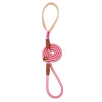 China Anti-Pull Dog Leash with Padded Nylon and Leather Handle for sale