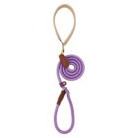China Anti-Pull Dog Leash with Padded Nylon and Leather Handle for sale