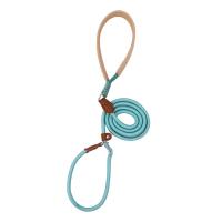 China Anti-Pull Dog Leash with Padded Nylon and Leather Handle for sale