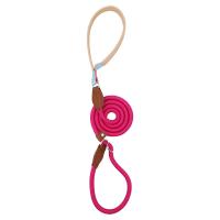 China Anti-Pull Dog Leash with Padded Nylon and Leather Handle for sale