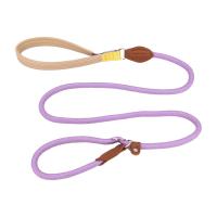 China Anti-Pull Dog Leash with Padded Nylon and Leather Handle for sale