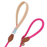 China Anti-Pull Dog Leash with Padded Nylon and Leather Handle for sale
