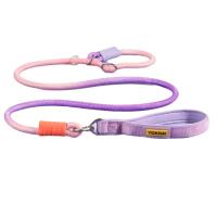 China Nylon Anti-Pull P-Leash for Medium to Large Dogs for sale