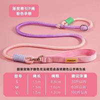 China Nylon Anti-Pull P-Leash for Medium to Large Dogs for sale