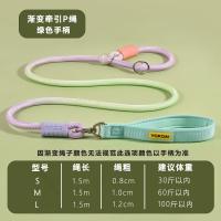 China Nylon Anti-Pull P-Leash for Medium to Large Dogs for sale