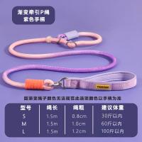 China Nylon Anti-Pull P-Leash for Medium to Large Dogs for sale
