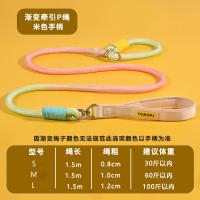China Nylon Anti-Pull P-Leash for Medium to Large Dogs for sale