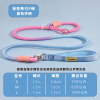 China Nylon Anti-Pull P-Leash for Medium to Large Dogs for sale