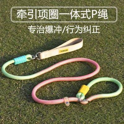 China Nylon Anti-Pull P-Leash for Medium to Large Dogs for sale