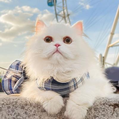 China Adjustable Cat Harness Leash Set with JK Skirt Design for sale
