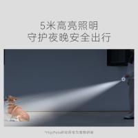 China Light-Triggered Automatic Dog Leash with Glow in Dark for sale