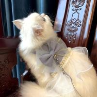 China Adjustable Cat Harness and Leash Set for Safe Outdoor Adventures for sale