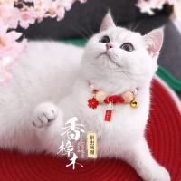 China Camphorwood Flea Repellent Cat Collar - Adjustable Hand Braided for sale