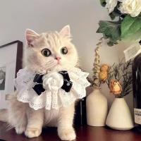 China Mint Fresh Lace Bib Collar for Cats with Adjustable Tie for sale