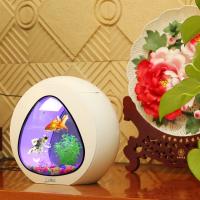 China 3G Acrylic Desktop Aquarium with LED for Betta Fish for sale