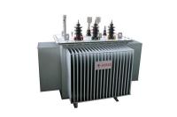 China 30kva 3 Phase Transformer 10/0.4Kv Three Phase Voltage Transformer for sale