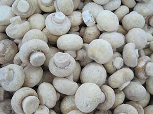China IQF champignon online sale
