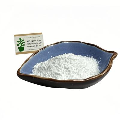 China Gamma Cyclodextrin USP Food Grade Powder - 98% Purity Antioxidant Stabilizer and Thickener for sale
