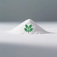 China JSFA Standard Gamma Cyclodextrin Food Additive - 98% Purity White Powder for Dairy Products Odor Control for sale