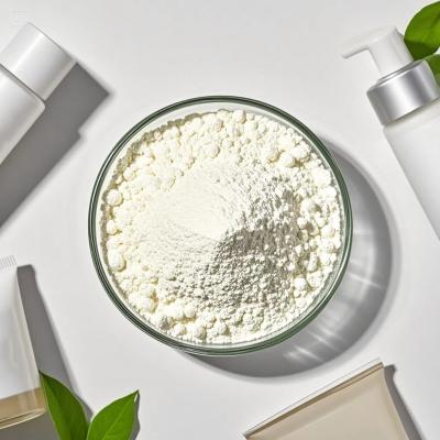 China Hydroxypropyl Beta Cyclodextrin Powder HPBCD CAS 128446-35-5 ChP2020 Cosmetic Grade for sale