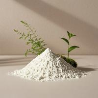 China ChP2020 Standard White Powder Beta Cyclodextrin CAS 7585-39-9 | Molecular Weight 1134.98 g/mol | pH 5.0-8.0 for sale