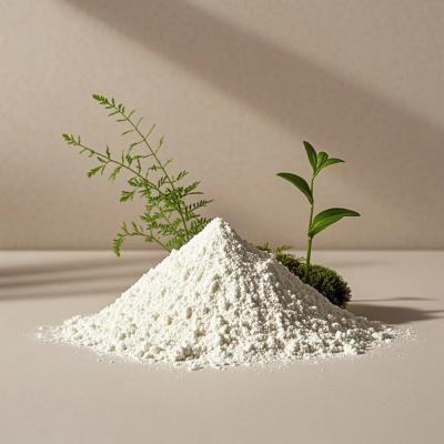 China ChP2020 Standard White Powder Beta Cyclodextrin CAS 7585-39-9 | Molecular Weight 1134.98 g/mol | pH 5.0-8.0 for sale