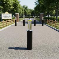 China Automatic Electro Hydraulic Lifting Column Remote Control Stainless Steel Anti Collision for sale