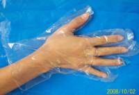 China Transparent Disposable Hand Gloves Food Grade Polythene LDPE One Time Gloves for sale