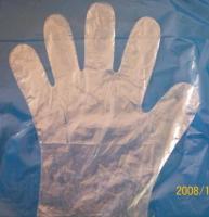 China Transparent Disposable Hand Gloves Food Grade Polythene LDPE One Time Gloves for sale