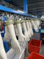 China Large Size Latex Disposable Protective Gloves White Box Packing Non Sterile for sale