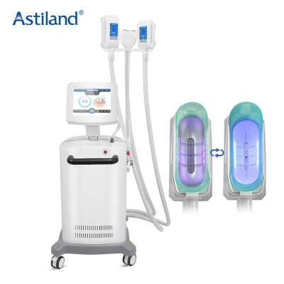 China High Efficiency Relief Cryolipolysis Slimming Machine Non Invasive for sale