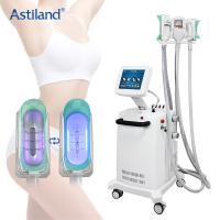 China Non-Invasive Cryolipolysis Slimming Machine 360° Cooling with Replacement Cup 3 Handpieces for sale