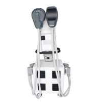 China Professional EMS Sculpting Machine for Core Strength and Fat Reduction for sale