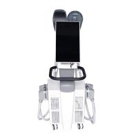China EMS Sculpting Machine With RF Frequency And 15 Inch Color Touch Screen for sale