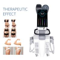China 14 Tesla EMS Sculpting Machine One-Stop Solution for Body Sculpting for sale