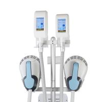 China Advanced 10.4 Inch Touch Screen Cryo Reduction System Cryo Reduction Device With HI EMT Technology for sale