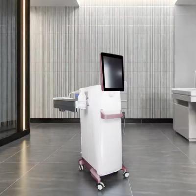 China 15 Inch Color Touch Screen HIFU Machine for Surgery Skin Tightening Wrinkle Remover Firming Skin Rejuvenation for sale