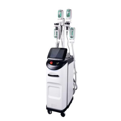 China Portable Cryolipolysis Fat Freezing Slimming Machine With Vacuum For Salon Home Use for sale