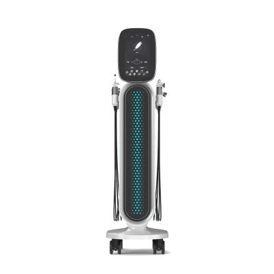 China 74kg Total Weight Multifunctional Beauty Device Professional Wholesale Hydrafacial Machine for sale