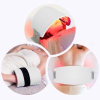 China Upgrade Your Business with Our High-Performance LED Light Therapy Machine for sale