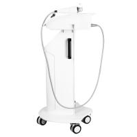 China RF Microneedle Machine For Cellulite Reduction And Pigmentation Removal for sale
