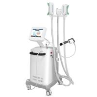 China Cryolipolysis & Shockwave 2 In 1 System For Fat Removal Machine for sale