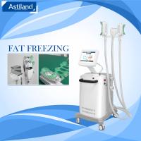 China 2000W Cryo & shockwave 8 Size Head For Fat Removal Machine for sale