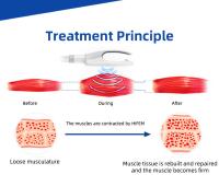China 4 Handles EMS EMS SCULPTING Machine CE Certificated for Body Slimming Muscle Buliding for sale