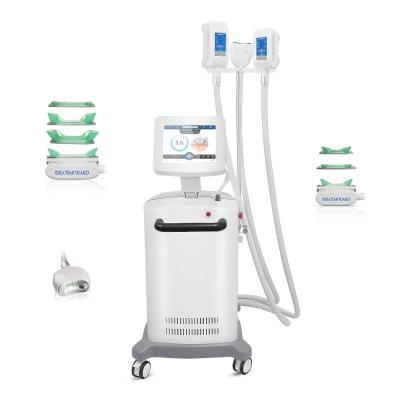 China Cryolipolysis Machine For Fat Freezing 360° Large Contact Cooling Area for sale
