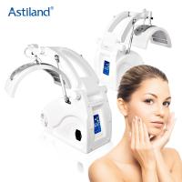 China Professional LED Light Therapy Machine for Beauty Salon and Spa for sale