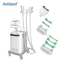China Painless 3 Handles Cryolipolysis Fat Freezing Machine Body Double Chin Removal for sale