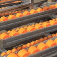 China Metal Carton Flow Rack Gravity Flow Shelf Warehouse Equipment Within Pallet Racking for sale